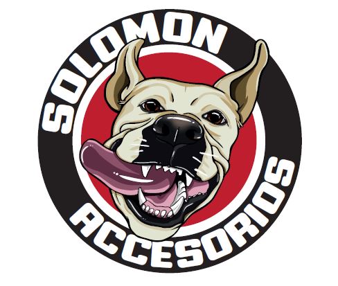 Instalación paneles BMW E36 Coupe – Solomon Metal Werks